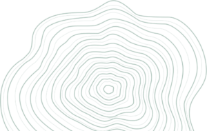 Noble Element Structure
